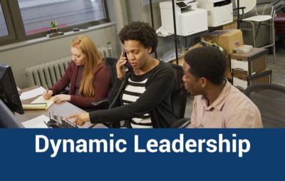Dynamic Leadership – Performance Platform Training Library